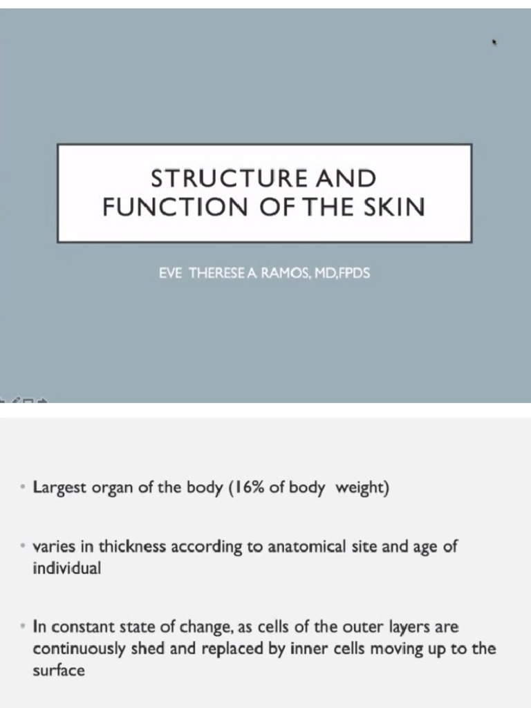1.skin Structure, Function | PDF