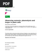 osmosis_red_onion_cells | PDF | Osmosis | Biology