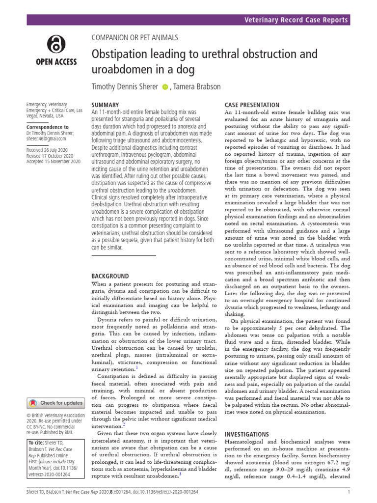 Vet Record Case Reports - 2020 - Sherer - Obstipation Leading to ...