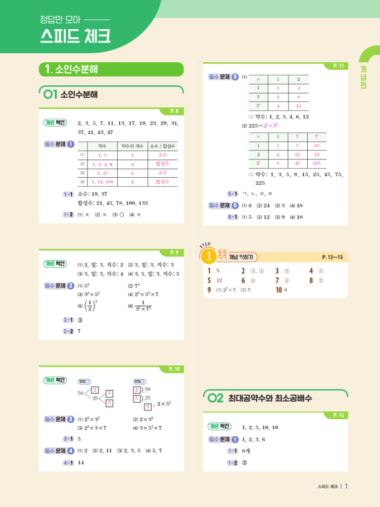 개념플러스유형 중등수학 (22개정) 1-1 개념편및라이트 정답해설 | PDF