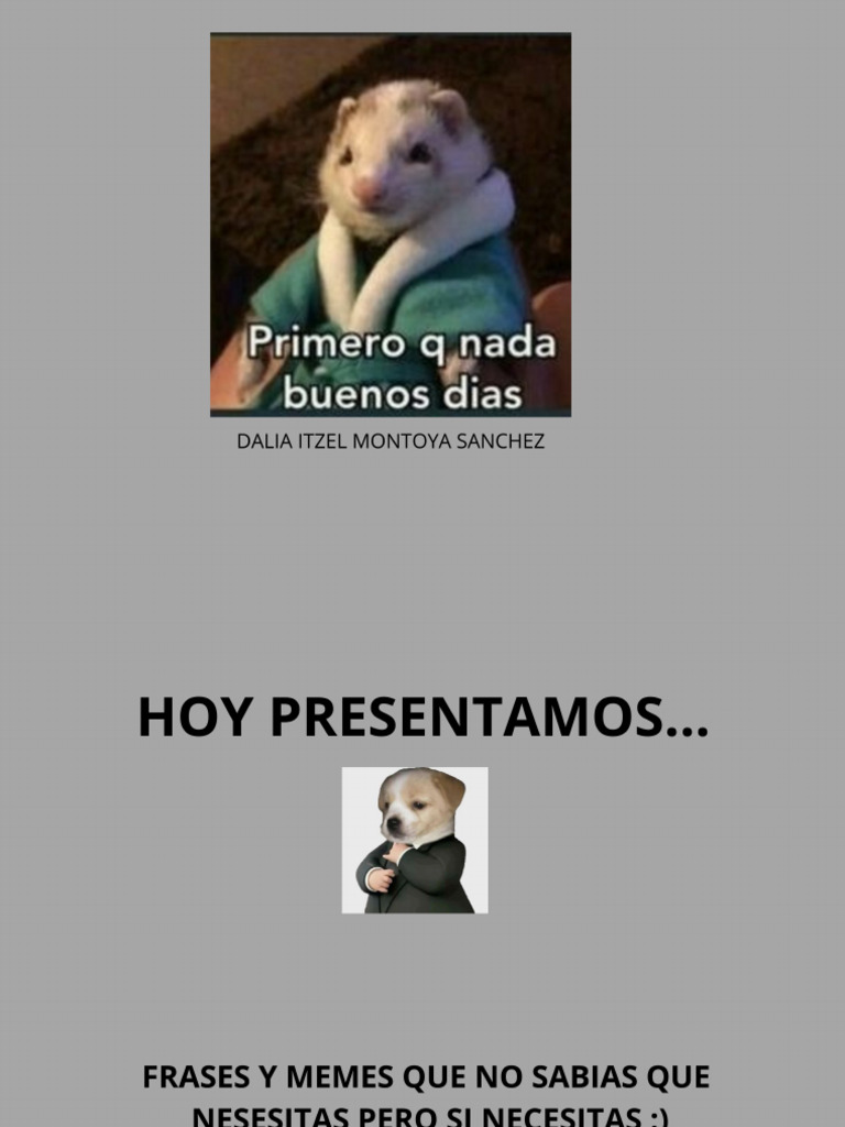 Hoy Presentamos | PDF