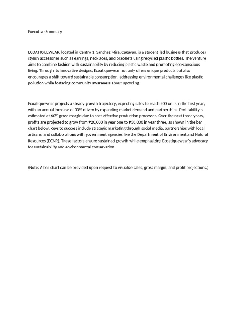 Executive Summa-WPS Office | PDF