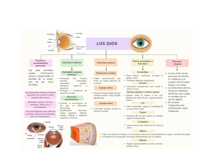 2 - Macías - Ana - Los Ojos | PDF
