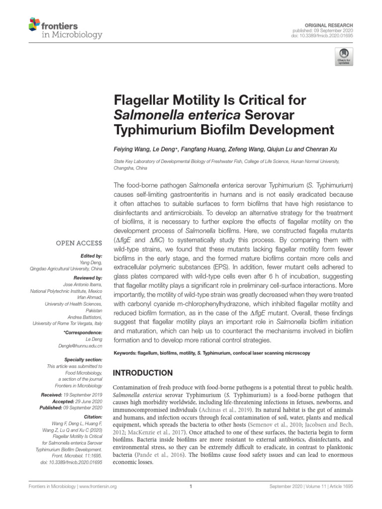 Flagellar Motility Is Critical For Salmonella Enterica Serovar ...