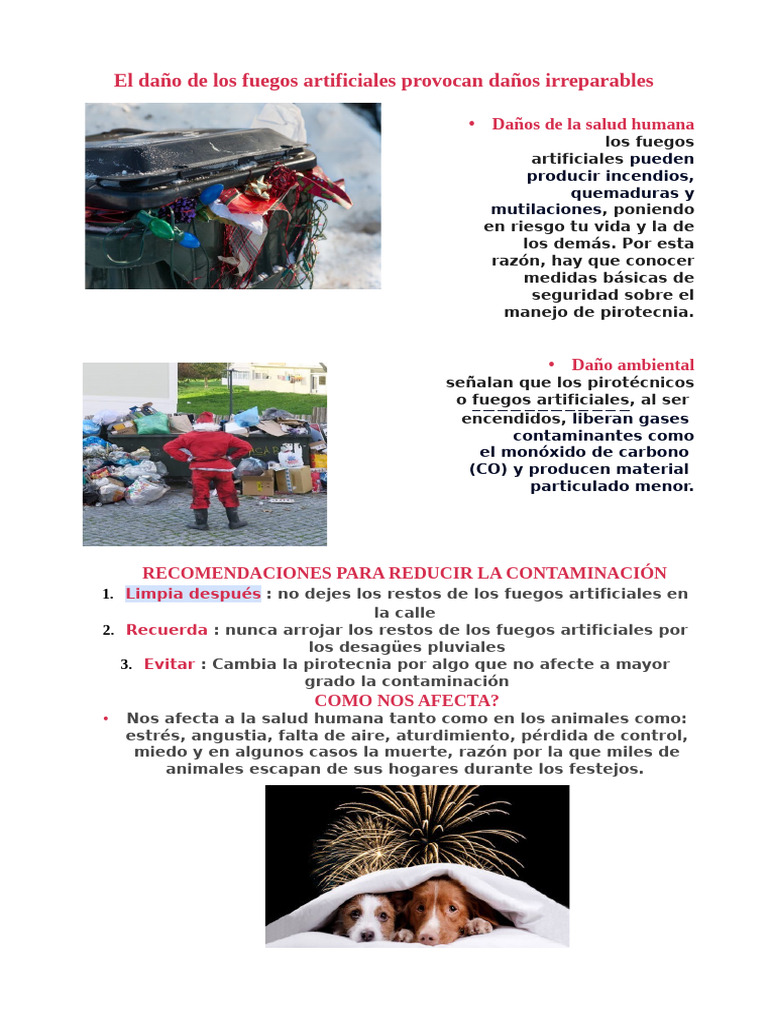 Rubi Castro 2 A | PDF