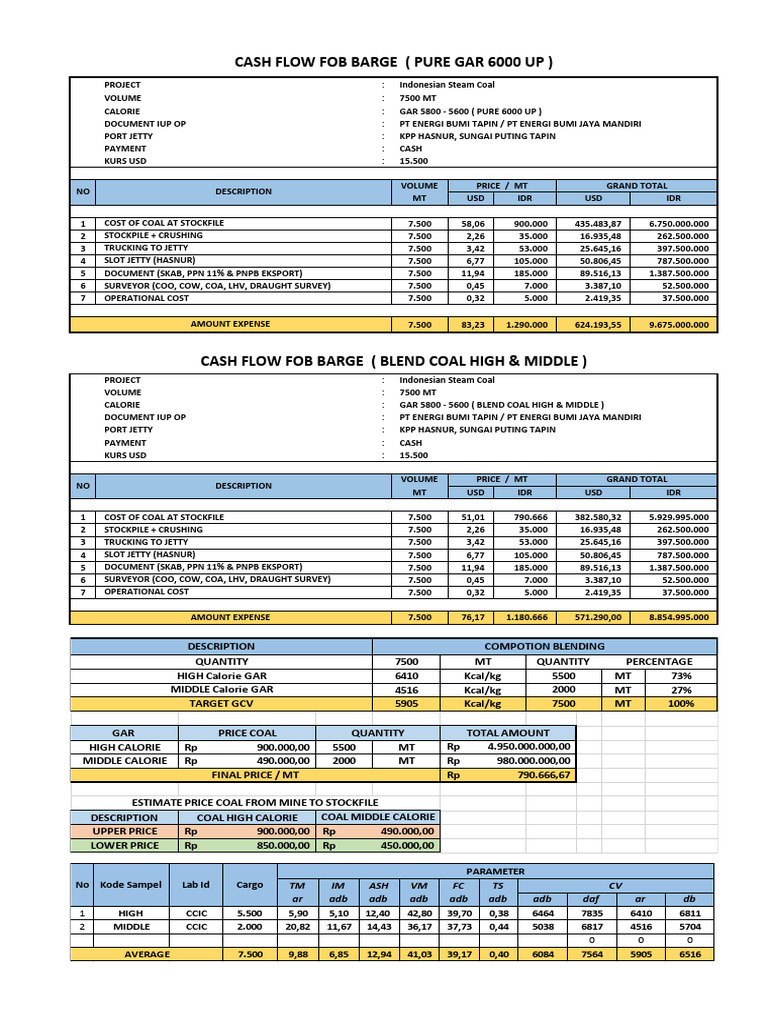 Indonesian Steam Coal Project Overview | PDF