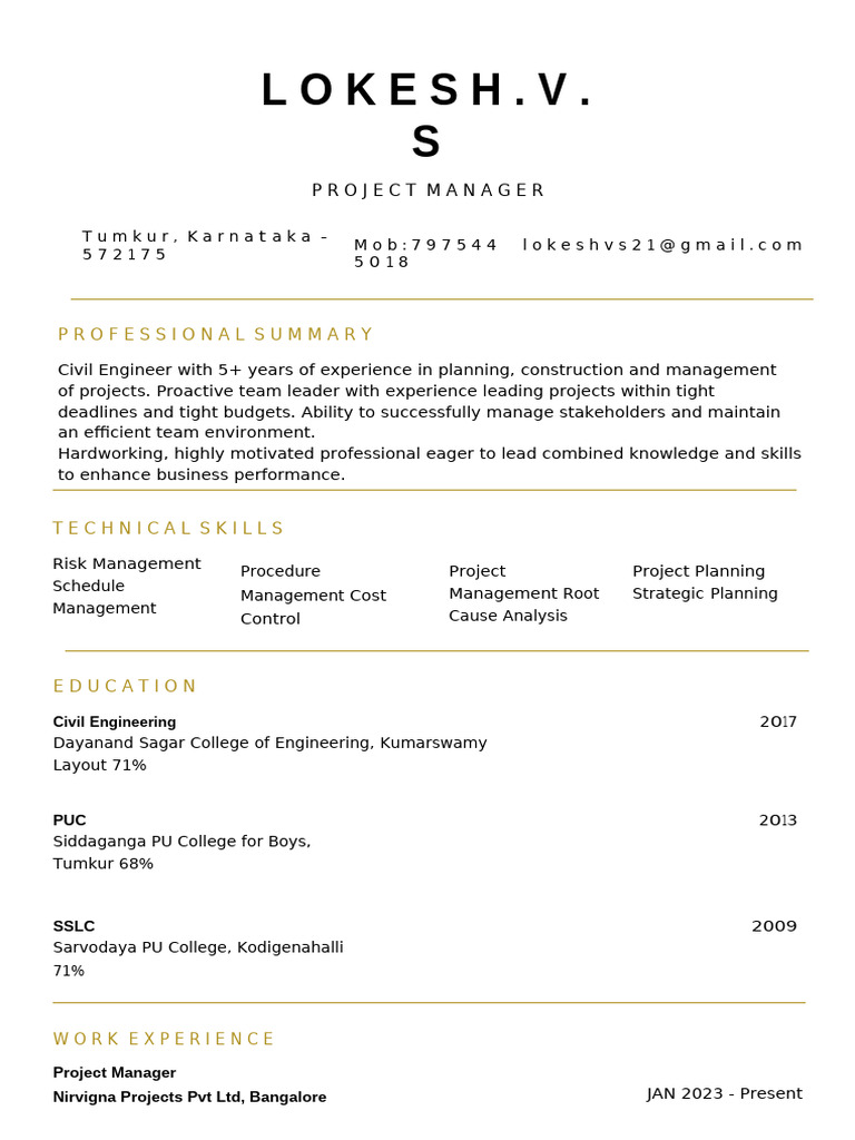 lokesh CV | PDF | Business