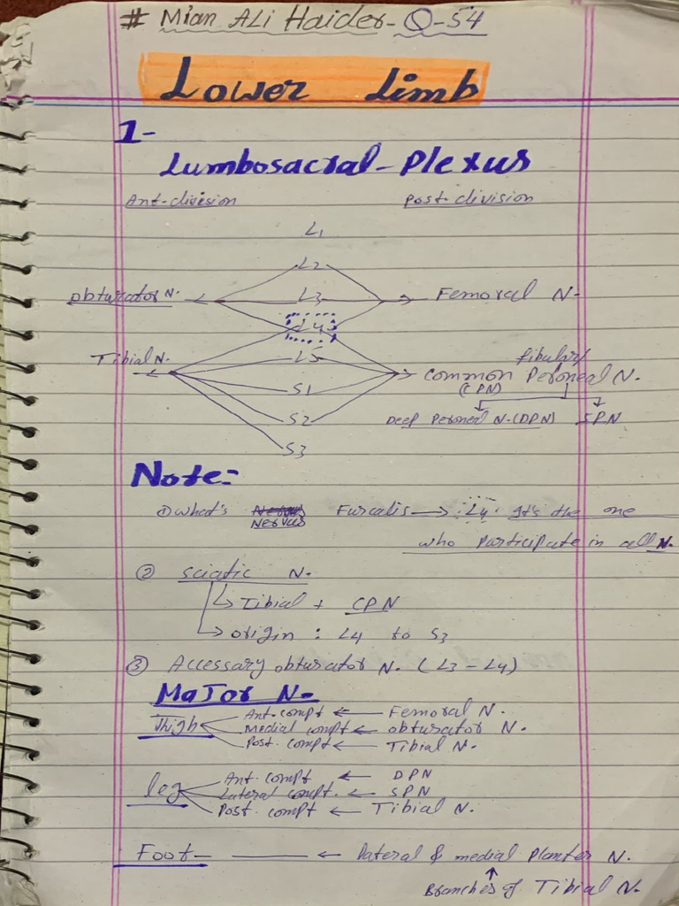 Unreadable Document Text | PDF