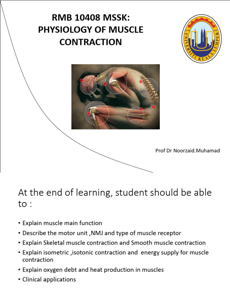 Muscle Contraction Physiology Guide | PDF | Muscle Contraction ...