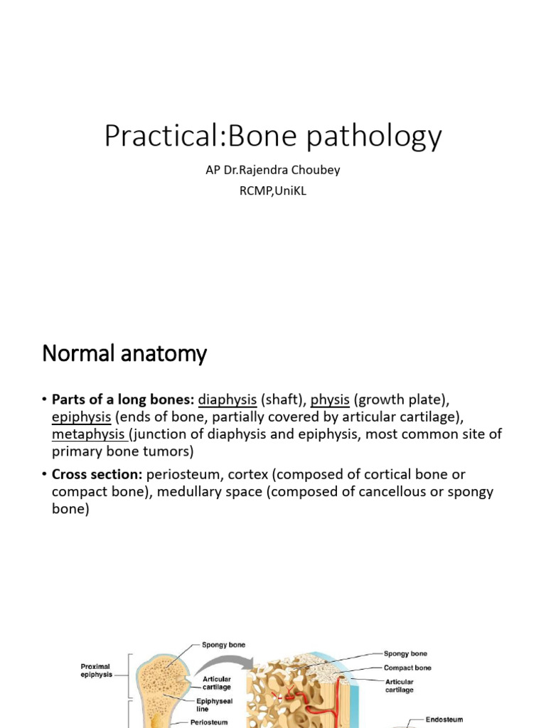 Practical-Bone Skin Pathology 2021 | PDF | Bone | Carcinoma