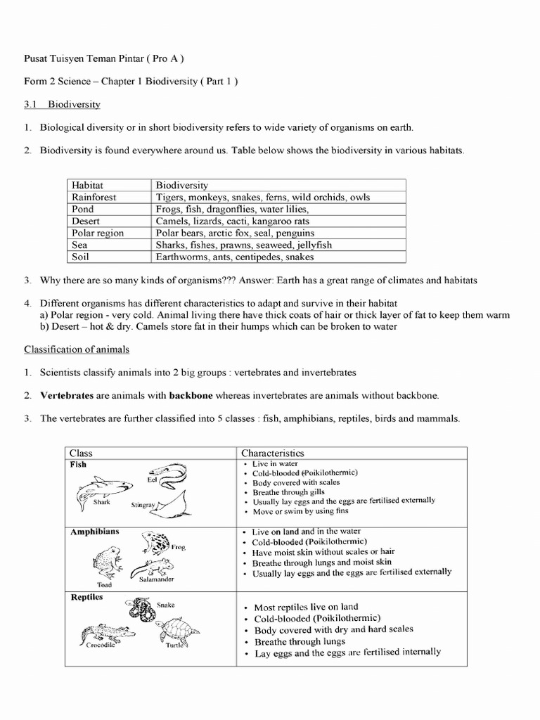 C1 Notes | PDF