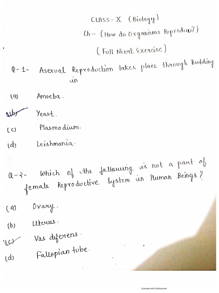 How Do Organisms Reproduce Ncert Exercise Questions Class 10 | PDF
