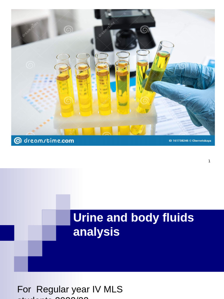 1 Chapter One Anatomy and Physiology of Urinary Systems 1 | PDF ...