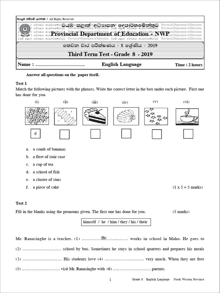 Grade 8 English Third Term Test 2019 | PDF