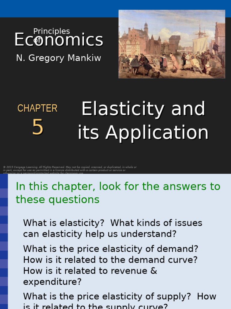 ch5 PPT | PDF | Elasticity (Economics) | Demand