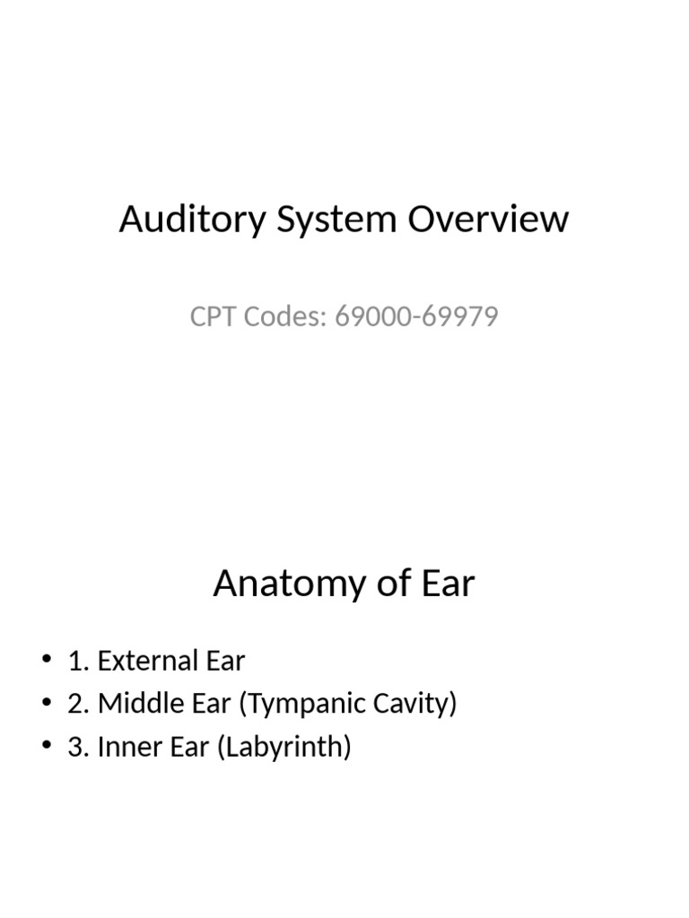 Auditory System Coding | PDF