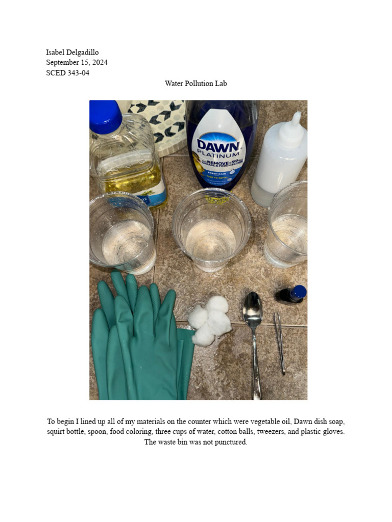 Water Pollution Lab | PDF | Oil Spill | Dyeing