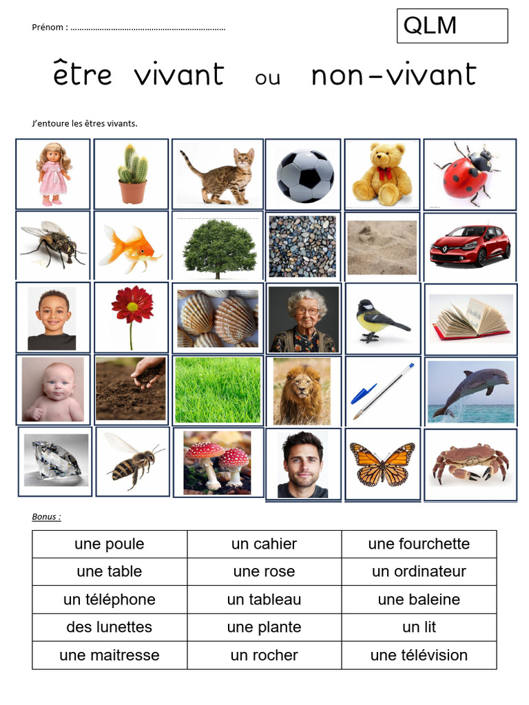 Vivant et Non-Vivant : Évaluation CE1 | PDF