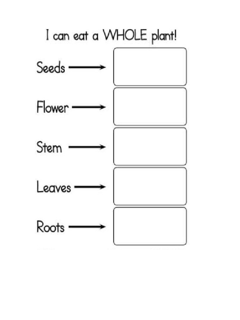 live plant we eat | PDF