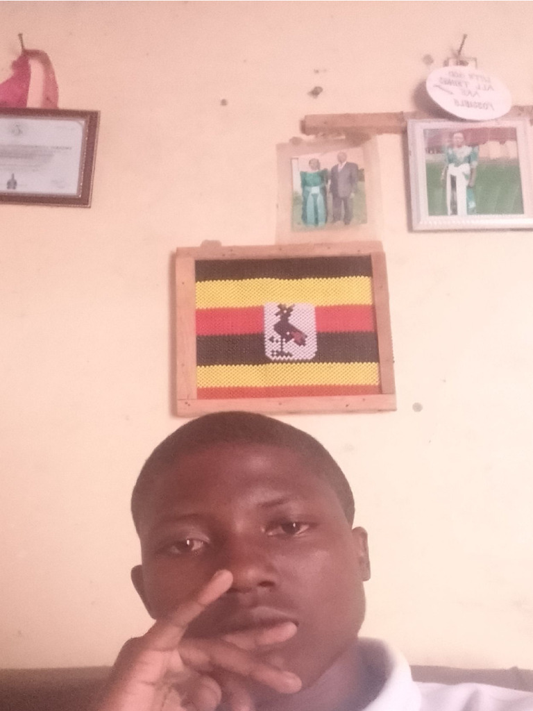 Scanned 20241130 003358 | PDF