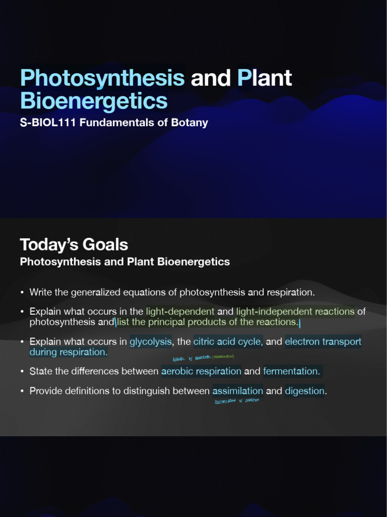 Energy Storage in Photosynthesis | PDF | Photosynthesis | Photochemistry
