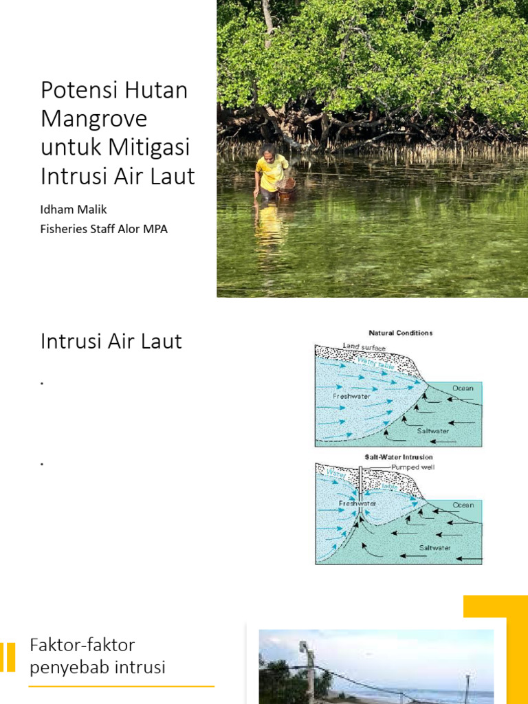 Mitigasi Intrusi Air Laut dengan Mangrove | PDF