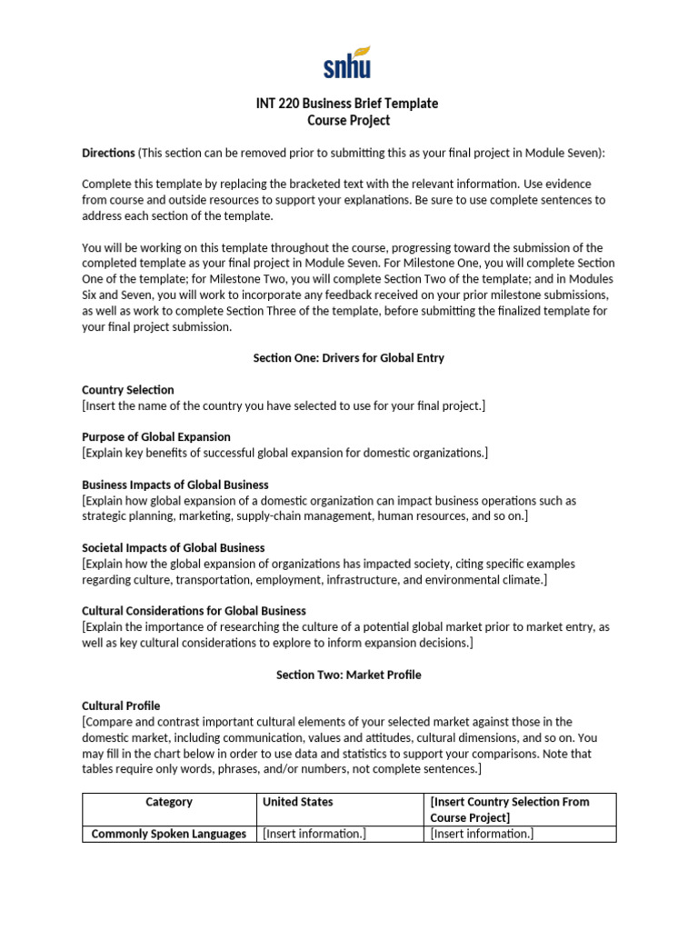 INT 220 Business Brief Template Guide | PDF | Exchange Rate | Market ...