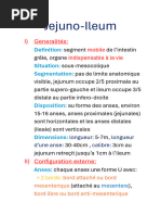 Anatomie chirurgicale du colon humain | PDF | Gros intestin | Anatomie