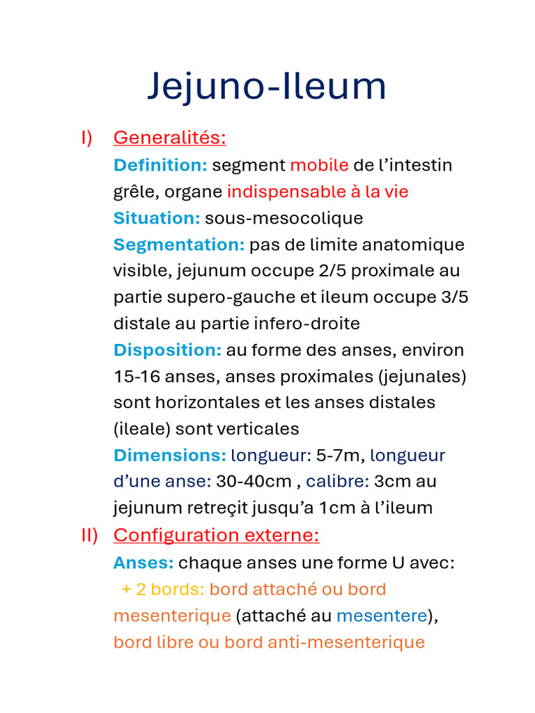 Anatomie du jéjunum et iléon | PDF | Gros intestin | Anatomie