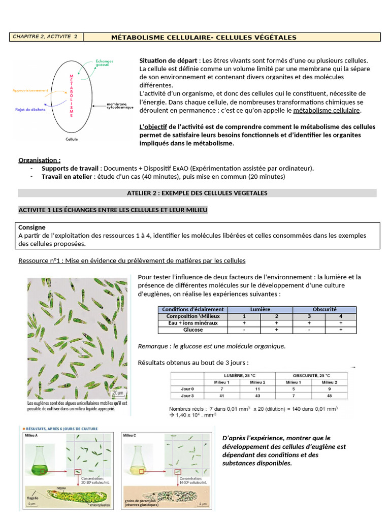 Act 2 Metabolisme Végétal Élève | PDF | Cellule (Biologie) | Métabolisme