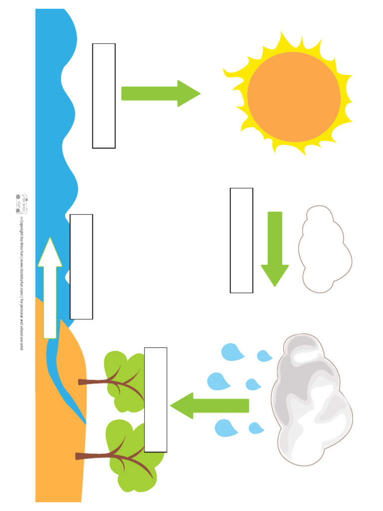 Water Cycle Printables | PDF