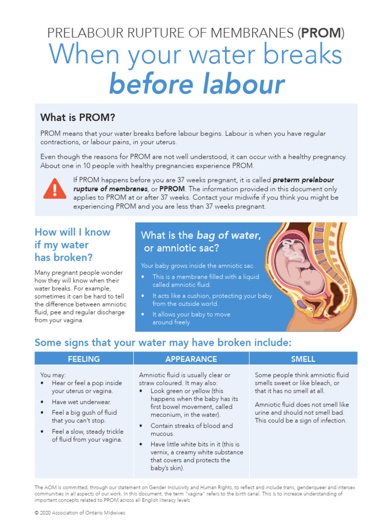 When Your Water Breaks Before Labour English | PDF | Childbirth ...