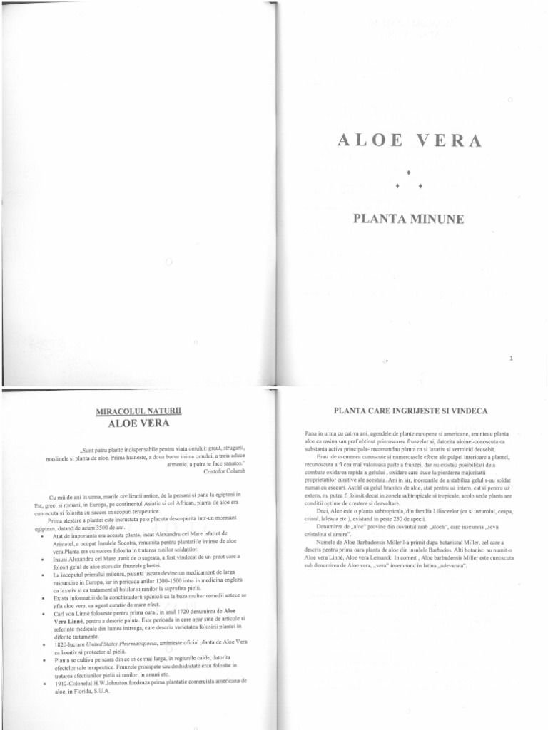 Carte Corina Balan (1) (1) | PDF