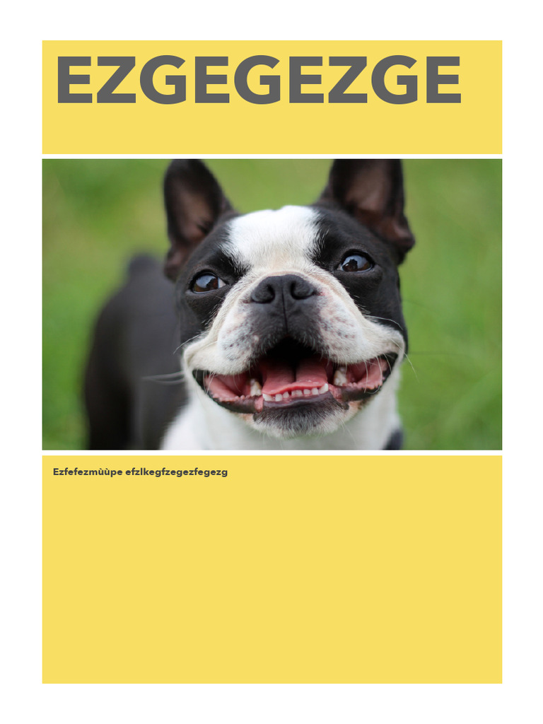 Ezgegezge: Ezfefezmùùpe Efzlkegfzegezfegezg | PDF