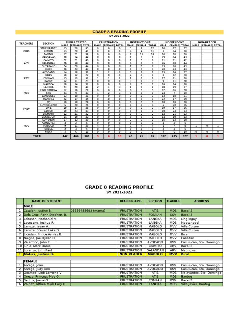 Grade 8 Reading Profile 2021-2022 | PDF