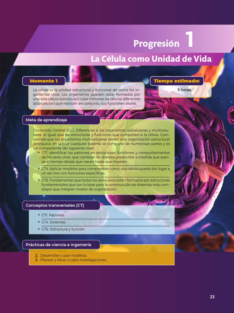 UAC OEP - Progresion 1-1 | PDF | Biología Celular) | Eucariotas