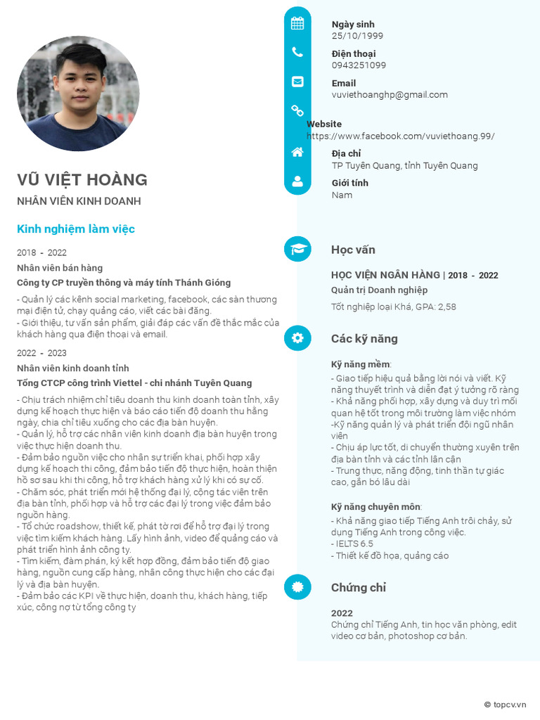 Vu Viet Hoang CV | PDF