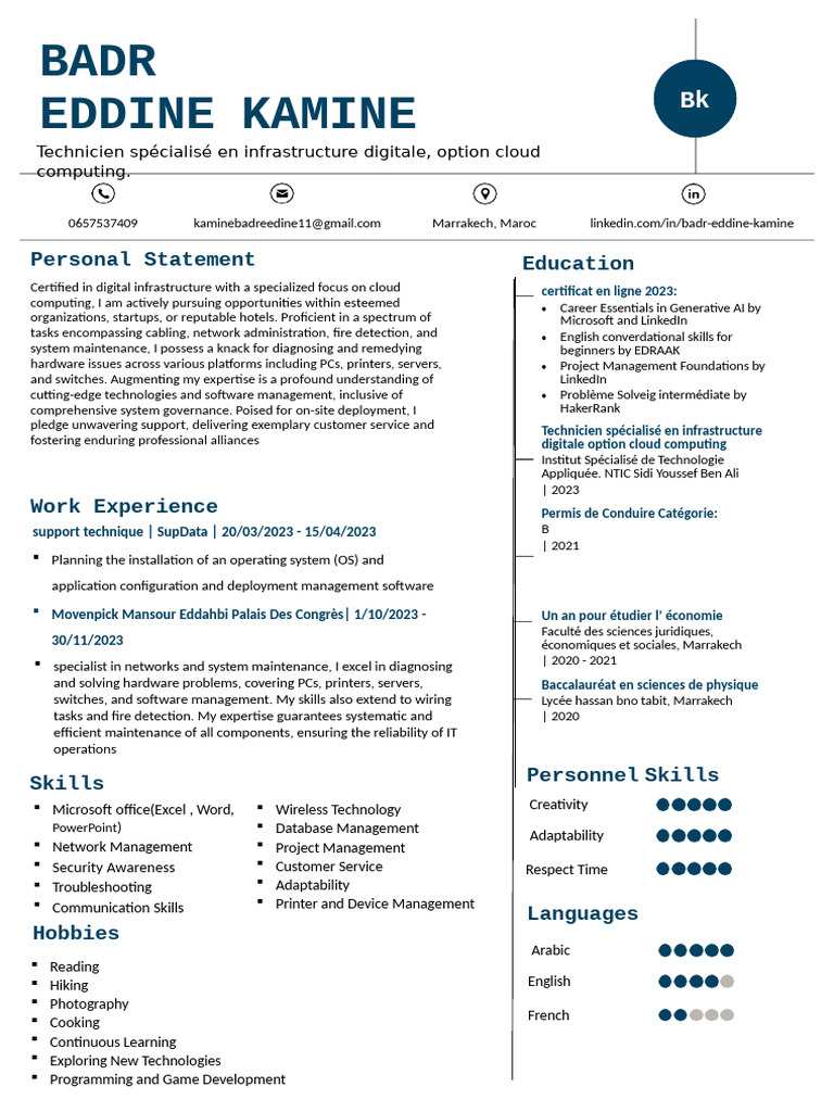 What a Cv Should Look Like Example Template Free Download | PDF ...