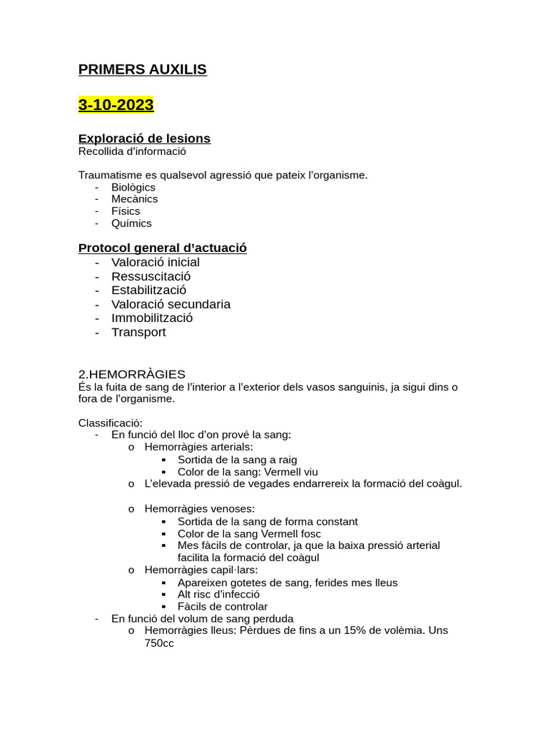PRIMERS AUXILIS | PDF
