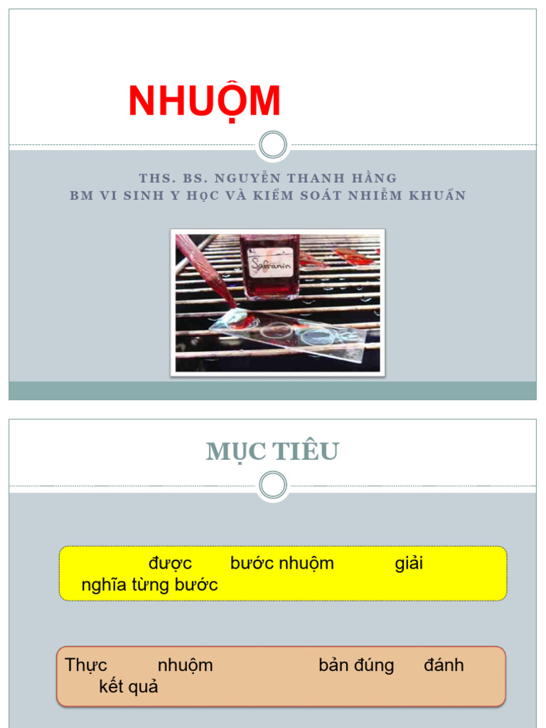 Nhu M Gram | PDF