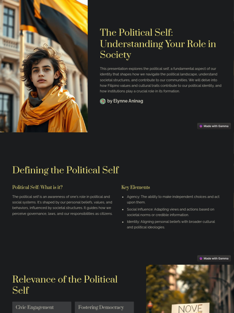The Political Self Understanding Your Role in Society | PDF