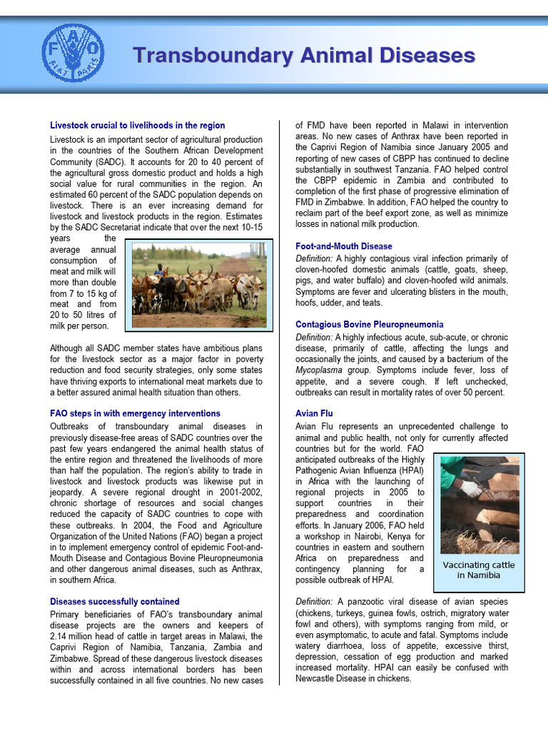 FAO Transboundary Animal Disease | PDF | Avian Influenza | Epidemiology