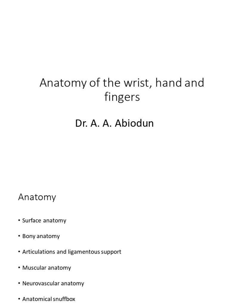 Anatomy of the Hand | PDF | Thumb | Hand