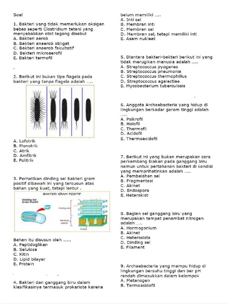 Latihan Soal Biologi | PDF