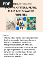 Sea Creatures List, Prices, Shadow Sizes, and Times ACNH - Animal ...