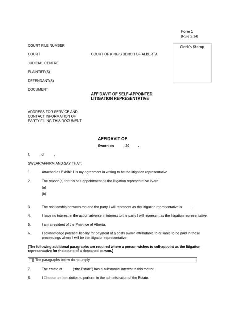 Affidavit of Self Appointed Litigation Representative | PDF | Lawsuit ...