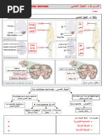 Contrôle SVT 3AC Semestre 2 | PDF | Nerf | Muscle squelettique