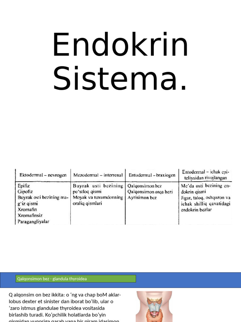 Endokrin Sistema | PDF