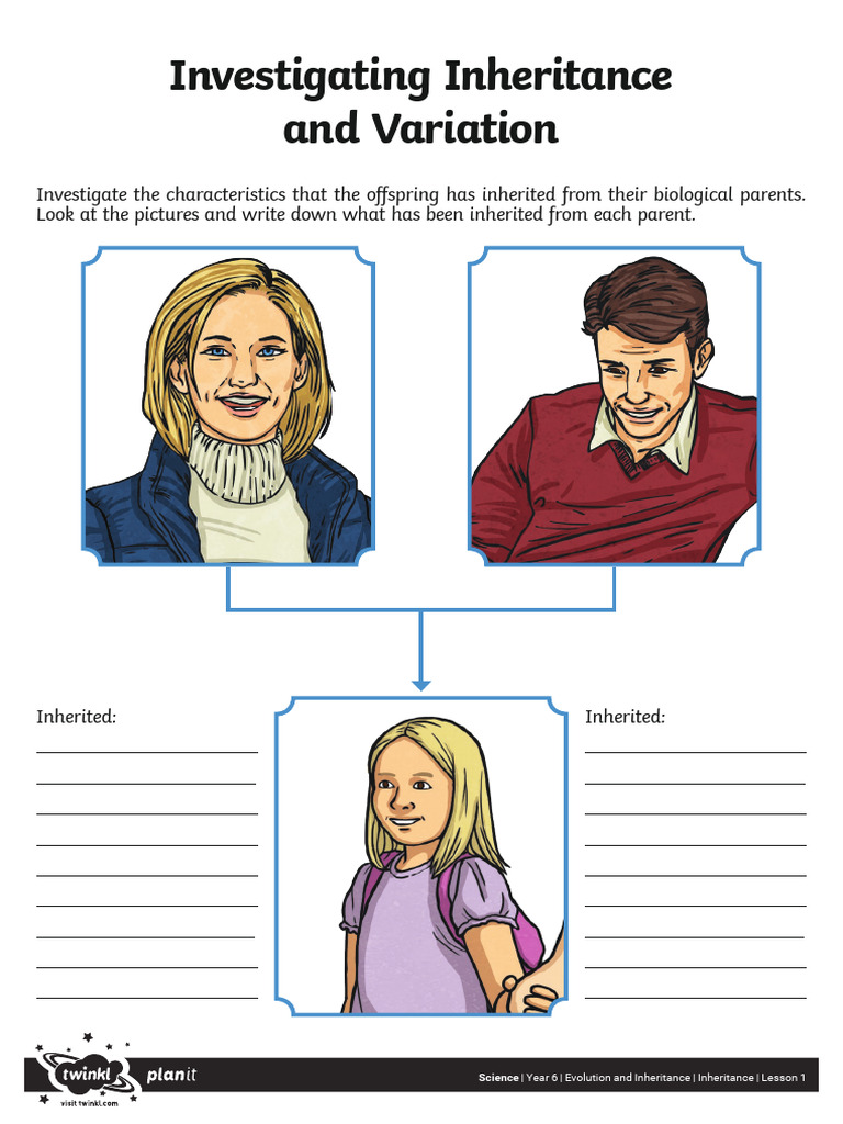 Investigating Inheritance and Variation Activity Sheet | PDF