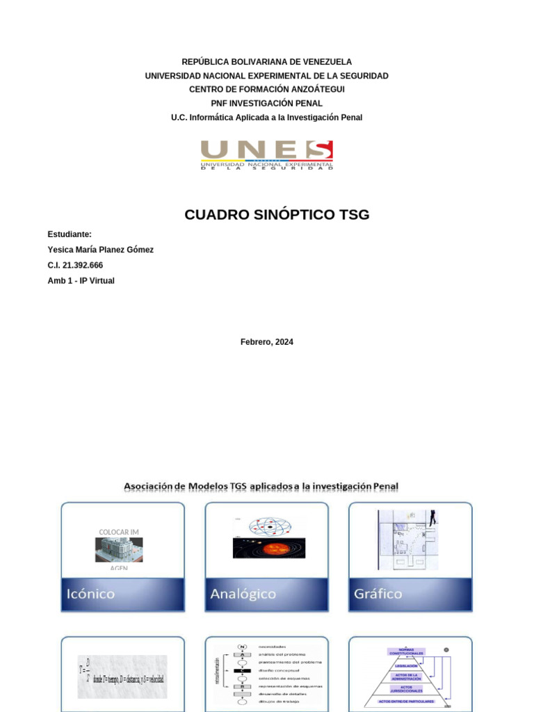 CUADRO SINÓPTICO TSG (Autoguardado) | PDF